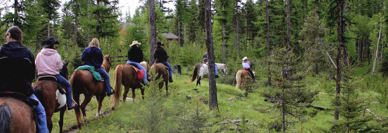 The Bar W Guest Ranch Dude Ranch Testimonials MT